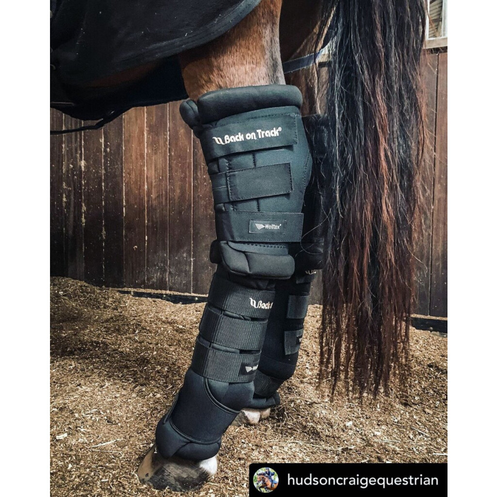 Back on Track Therapeutic Royal Hock Boots – Sign Ur Neigh'm